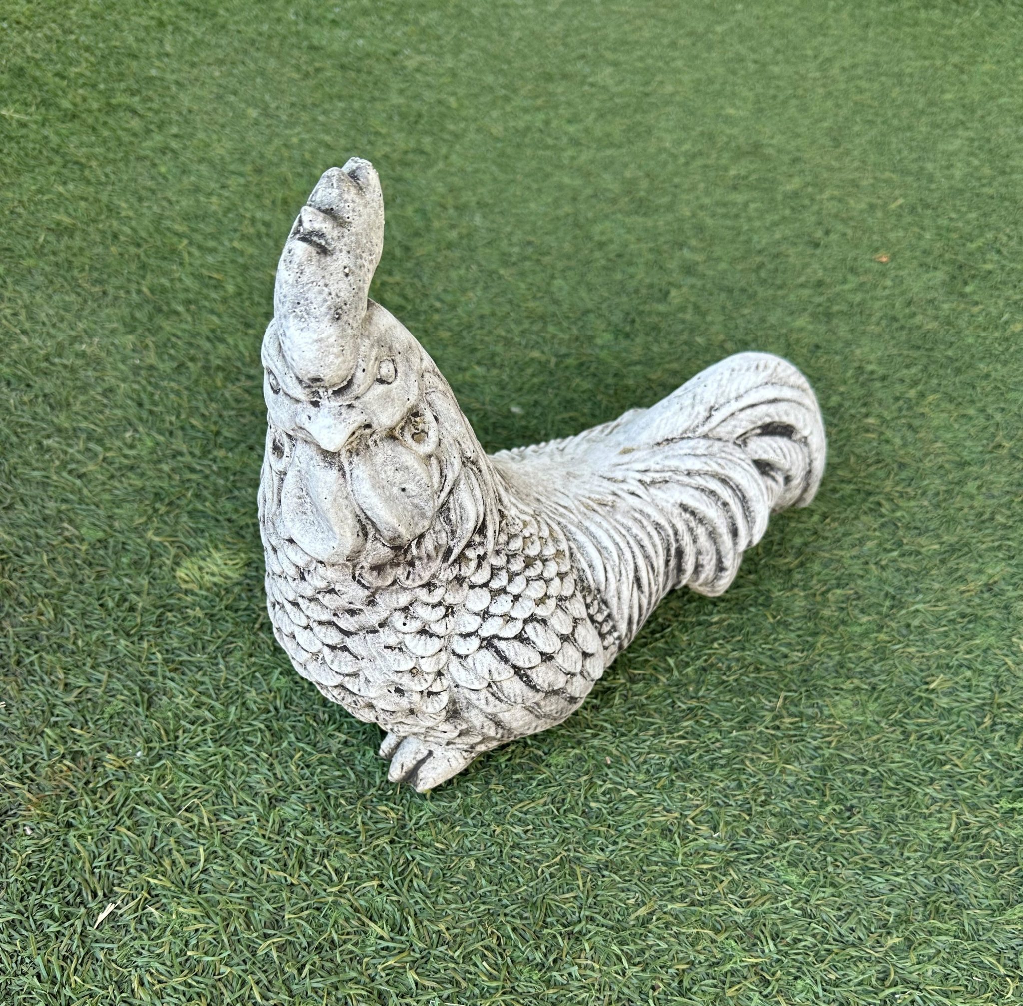 Chook | Down to Earth Garden Supplies